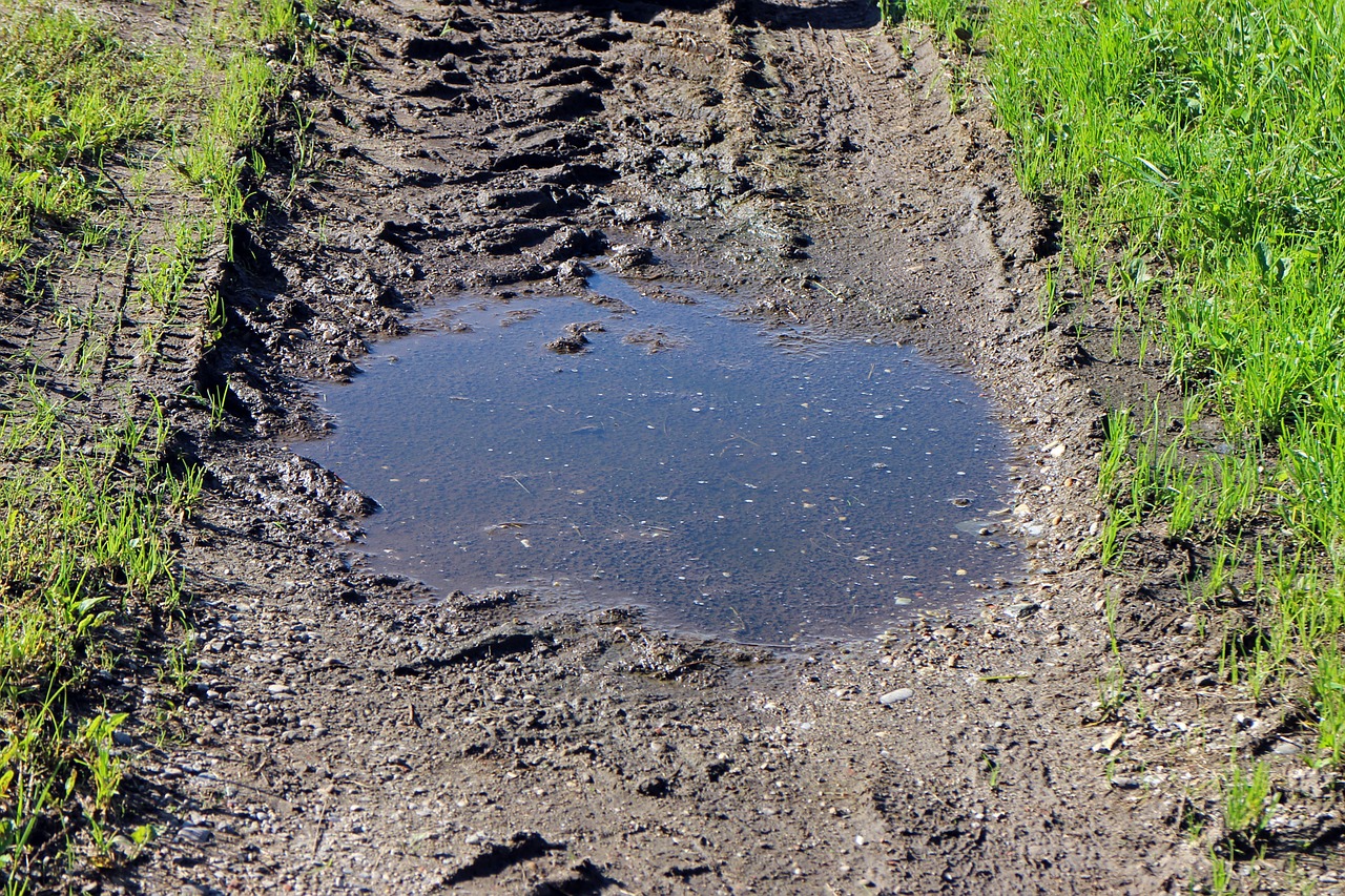 mud puddle water public domain – Susan Solovic