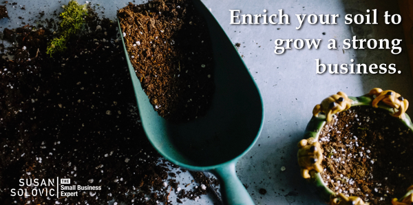 grow a strong small business – Susan Solovic