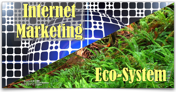 internet marketing ecosystem – Susan Solovic