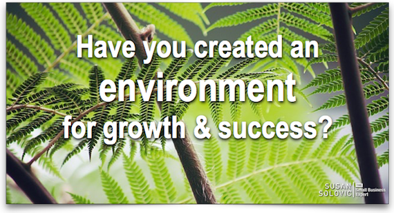 create an environment for success – Susan Solovic