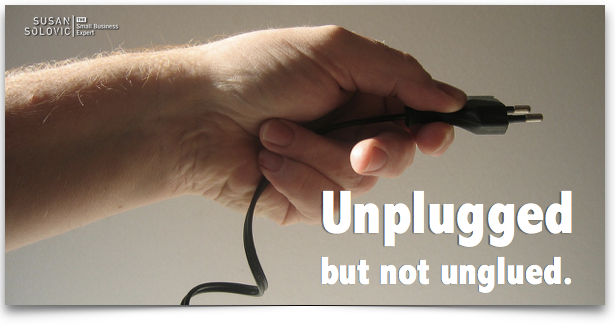 benefits of unplugging – Susan Solovic